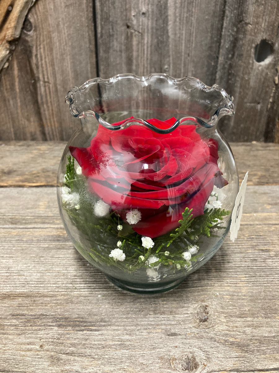 Classic Red Rose Bowl – Generations flowers & gifts